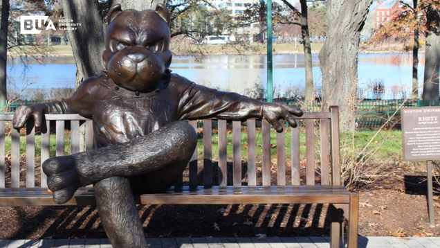 Zoom Backgrounds | I Heart BUA